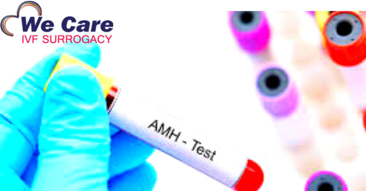 AMH Test: The Process Cost in India | Updated 2025